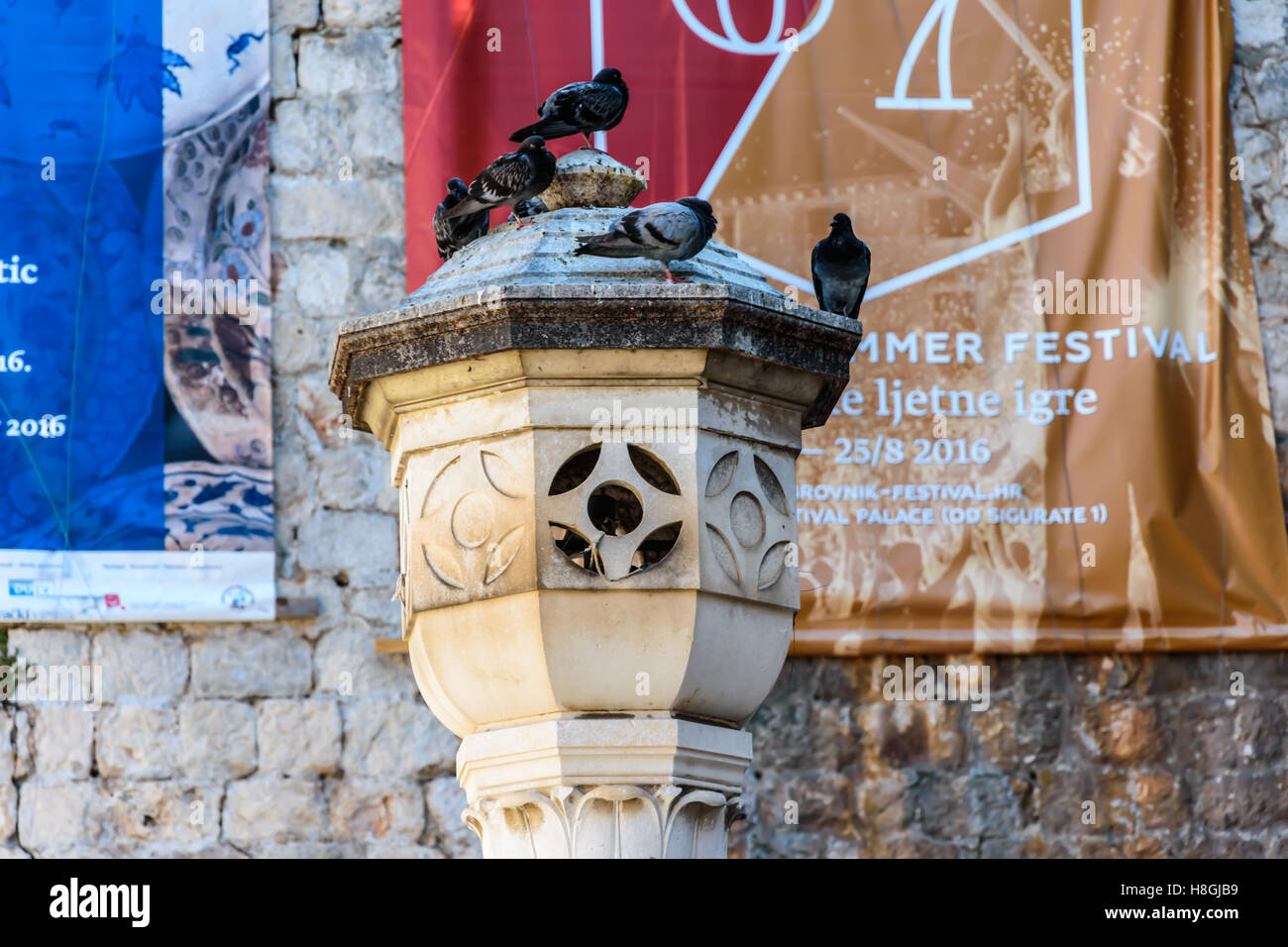 Column pigeon pigeons hi-res stock photography and images - Alamy