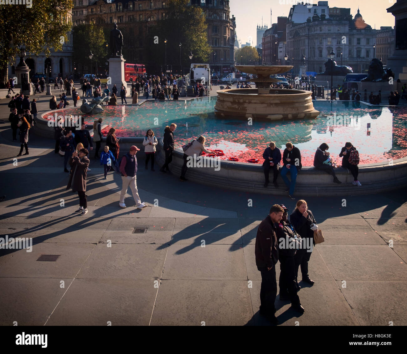 Trafalgar Square, London, UK, 11th November, 2016. Red poppies and ...