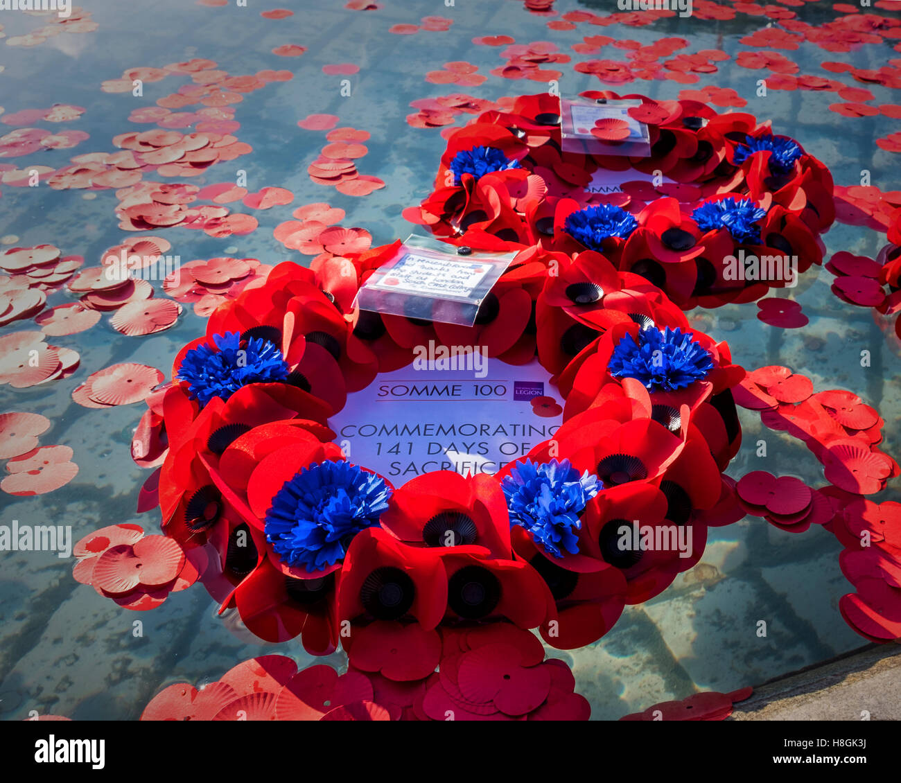 Poppies floating hi-res stock photography and images - Alamy