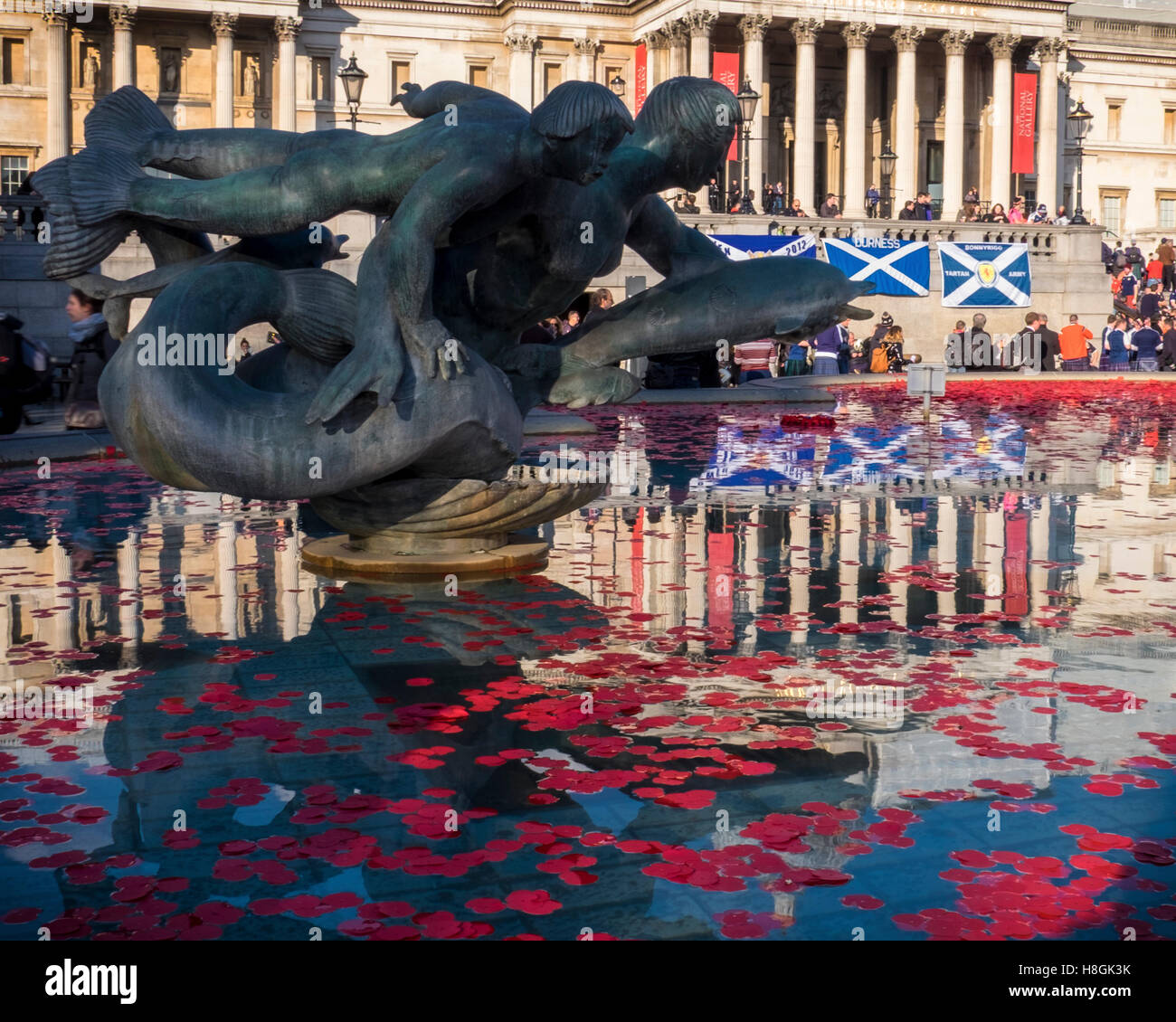 Poppies floating on water hi-res stock photography and images - Alamy