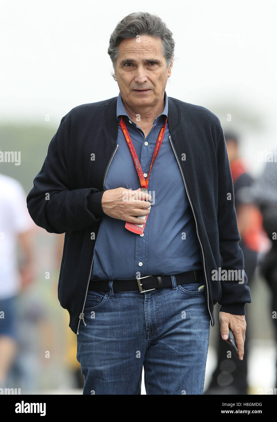 Sao Paulo, Brazil. 12th November, 2016.The famous driver Nelson Piquet ...