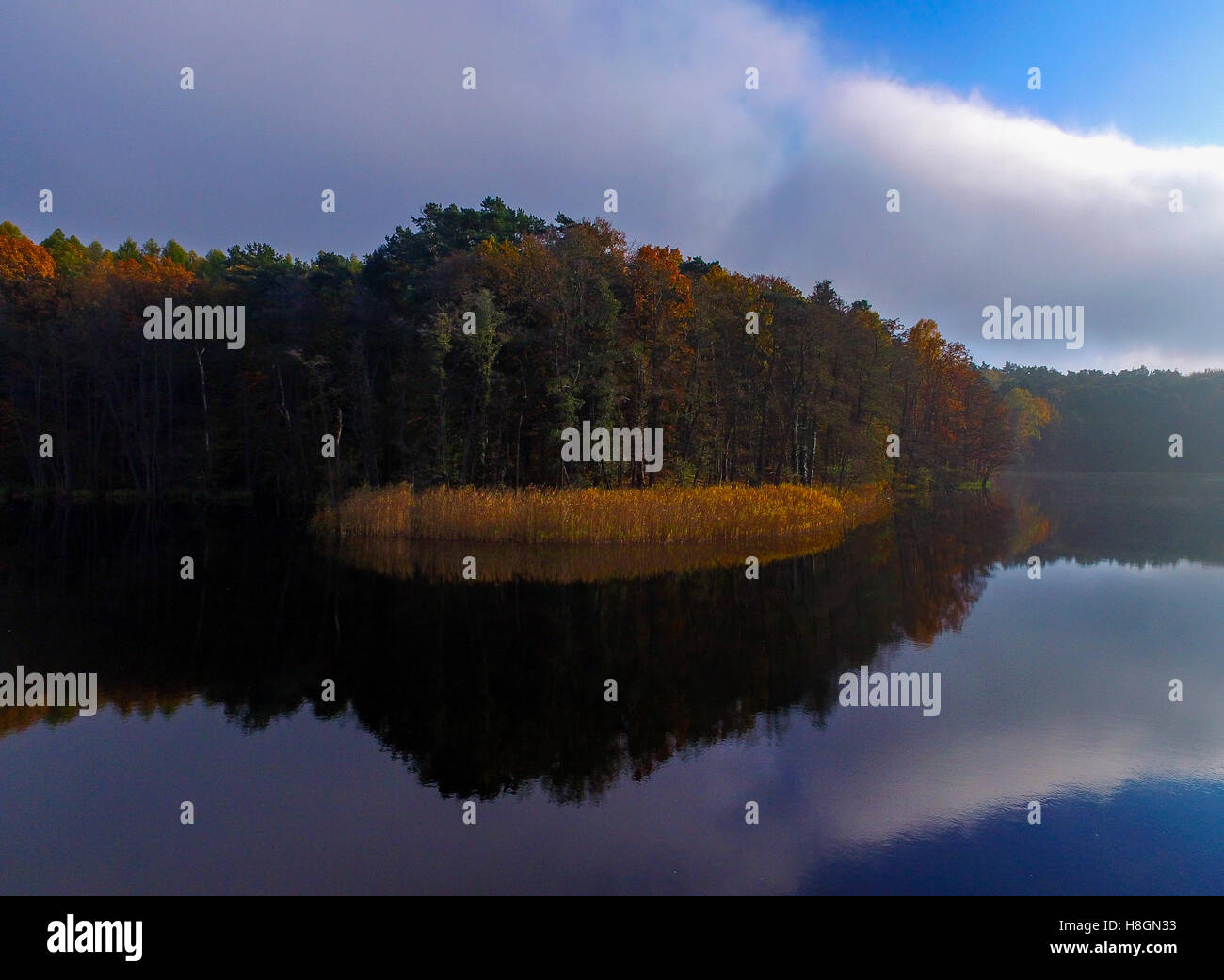 Treplin, Germany. 12th Nov, 2016. An autumn-colored mixed forest is ...