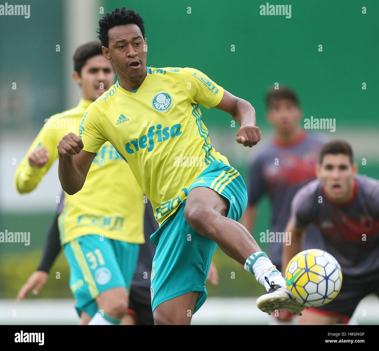 Palmeiras flamengo 2016 hi-res stock photography and images - Alamy