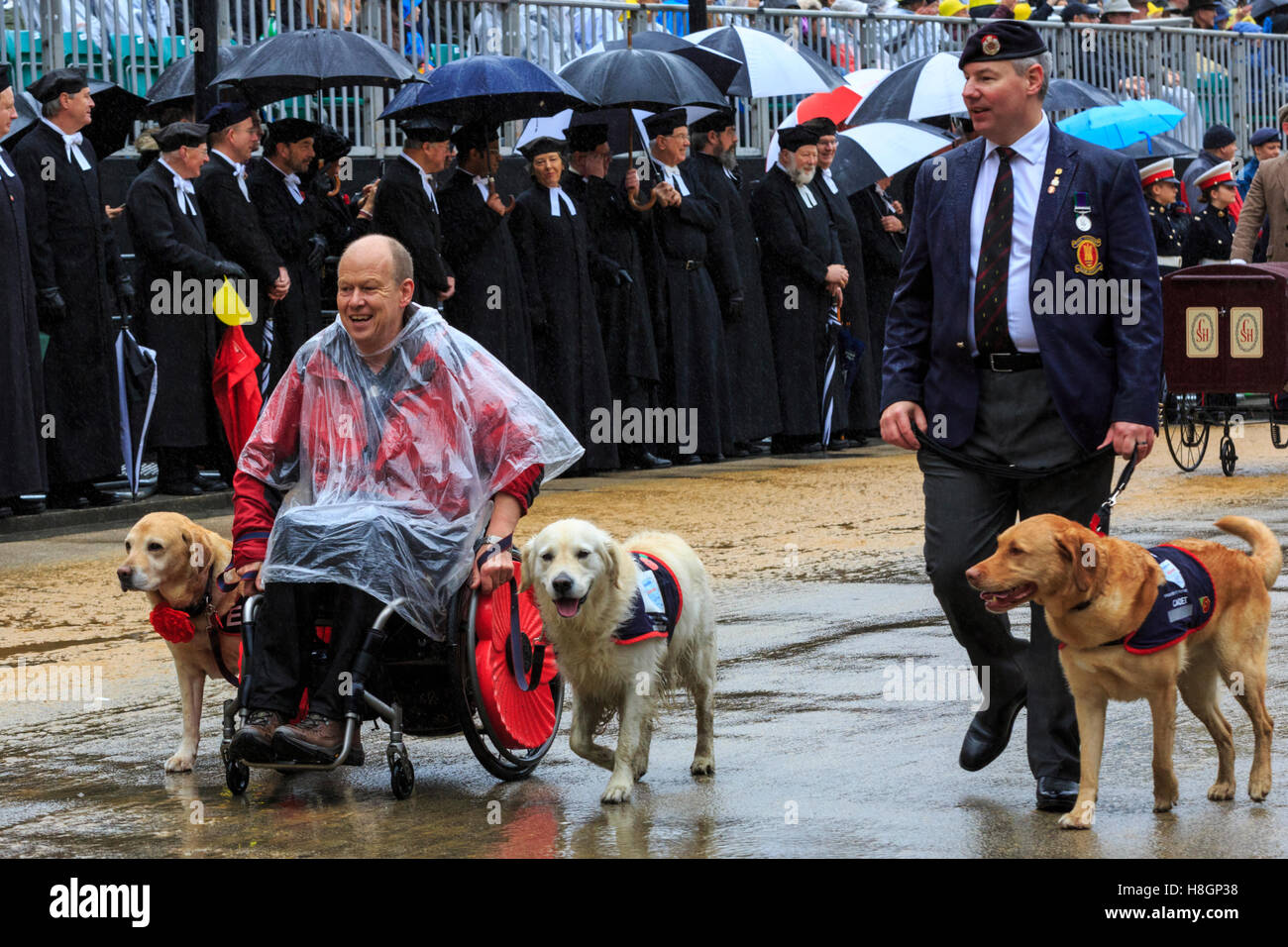 Guide dogs uk soldier hi-res stock photography and images - Alamy
