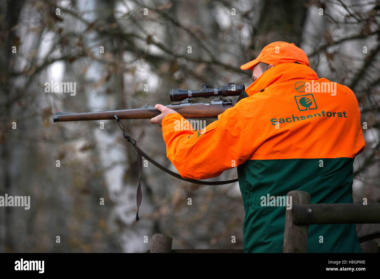 A hunter aims his rifle following a Hubertus Hunt in the Taura forest ...