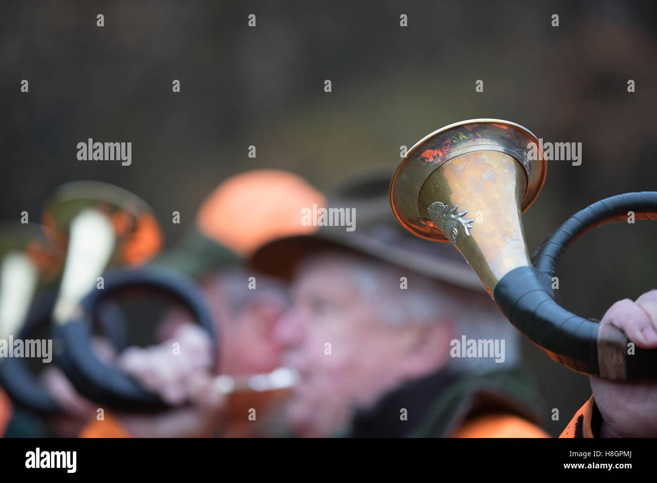 Hunting hornblowers open the Hubertus Hunt in the Taura forest district ...