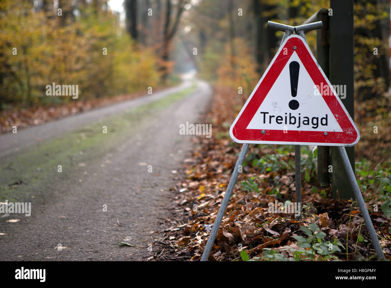 A sign for a drive hunt seen on a path in the Taura forest district in ...