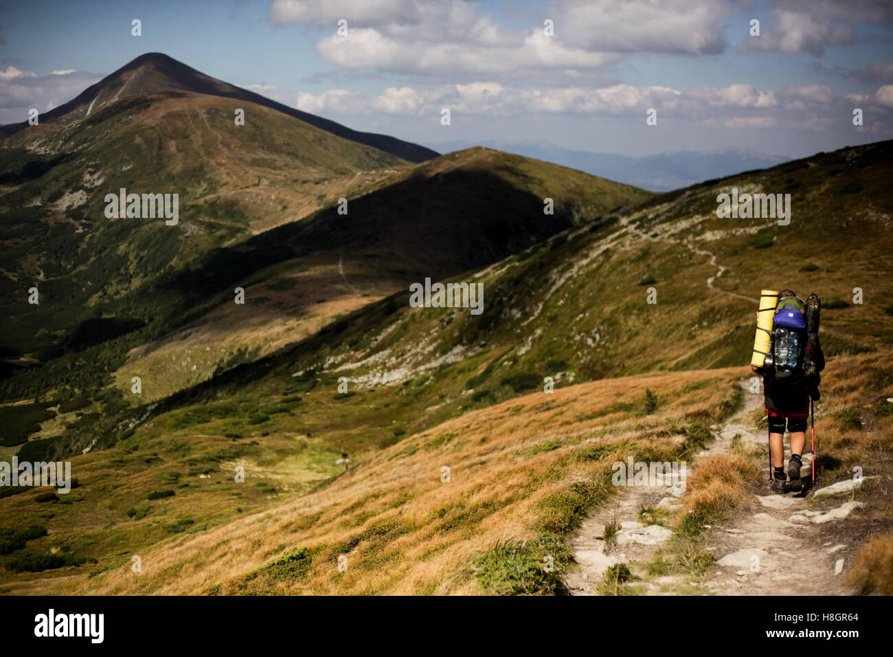 Carpathians Mountains, Ukraine. 12th Nov, 2016. Chornohora ridge in the ...
