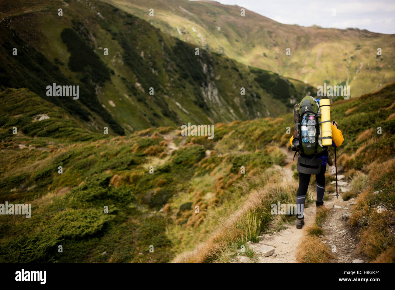 Carpathians Mountains, Ukraine. 12th Nov, 2016. Chornohora ridge in the ...