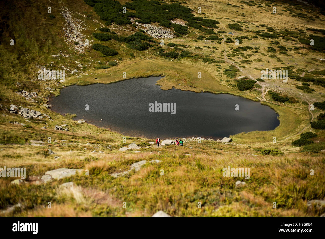 Carpathians Mountains, Ukraine. 12th Nov, 2016. Chornohora ridge in the ...