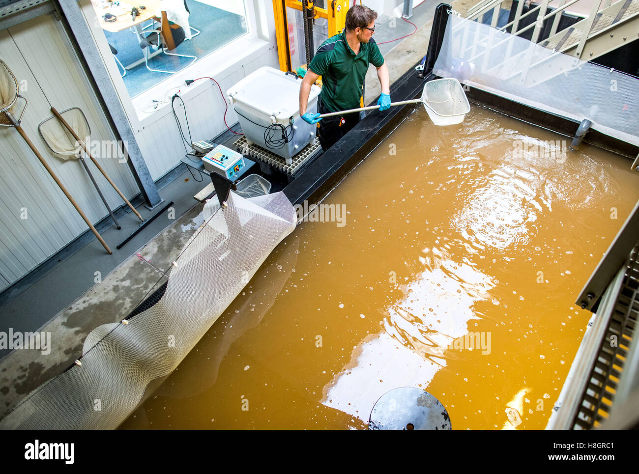 Halfer hi-res stock photography and images - Alamy