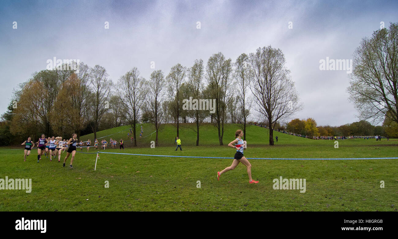 Woolven hi-res stock photography and images - Alamy