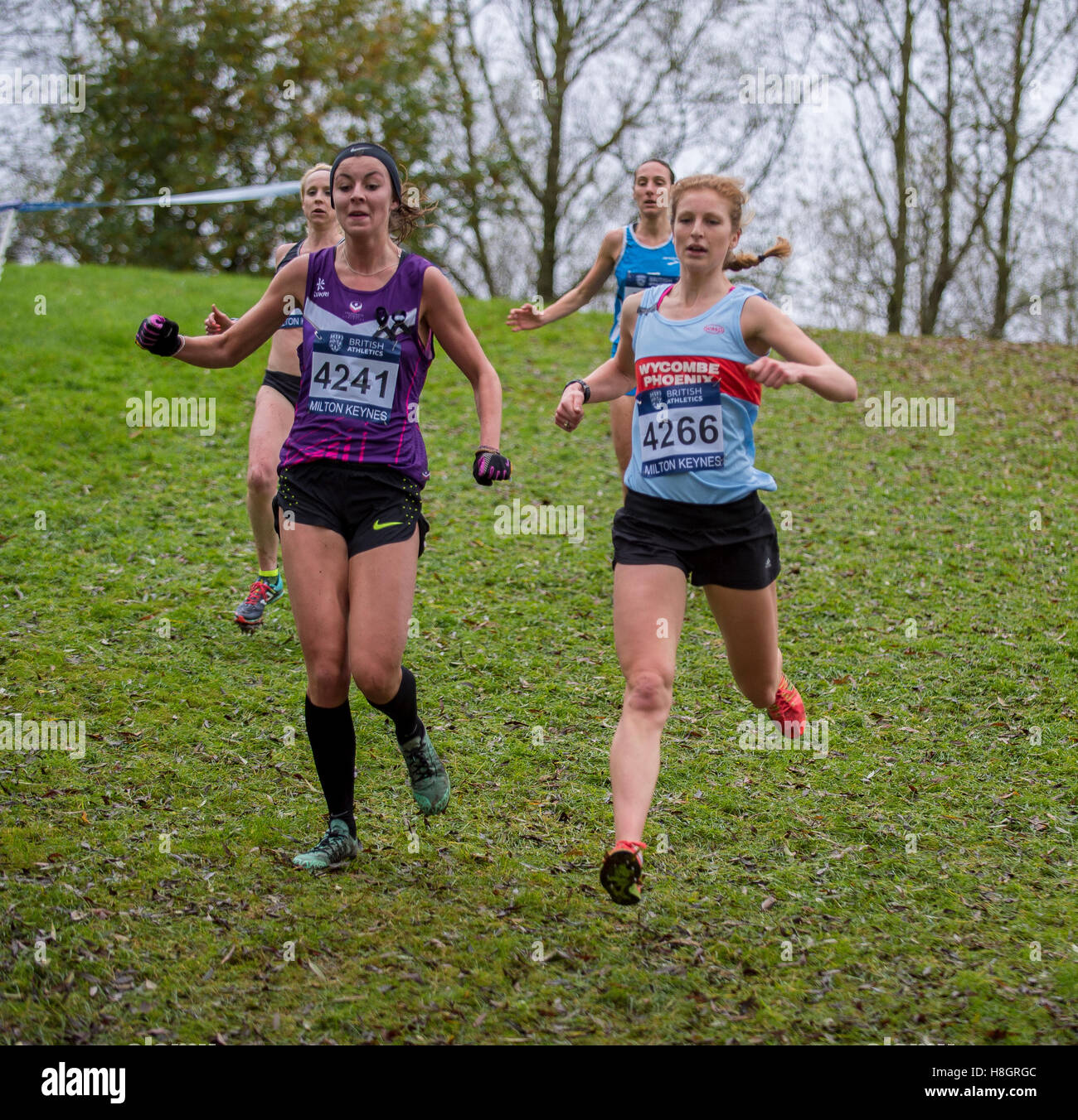 Teardrop lakes hi-res stock photography and images - Alamy