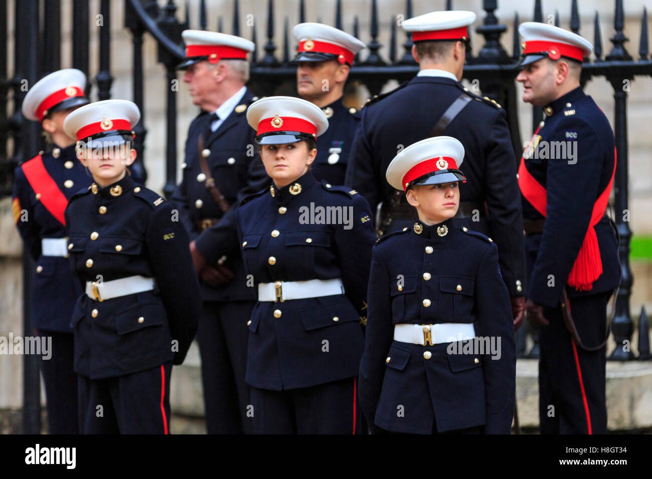 London, UK, 12th November 2016. Young Navy cadets take part in the ...