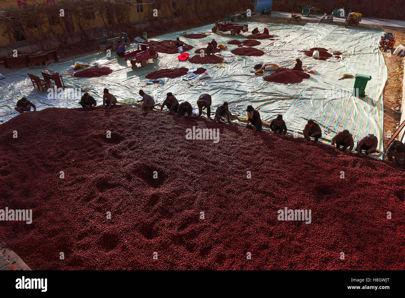 Beijing, China's Xinjiang Uygur Autonomous Region. 9th Nov, 2016 ...