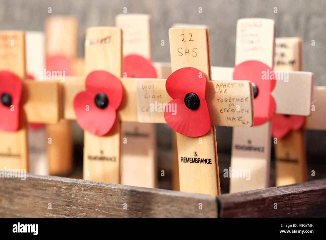 Sas soldiers hi-res stock photography and images - Alamy
