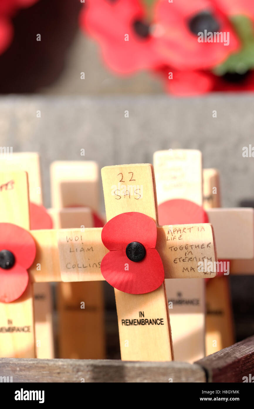 Kington, Herefordshire, UK - 13th November, 2016. An individual poppy ...