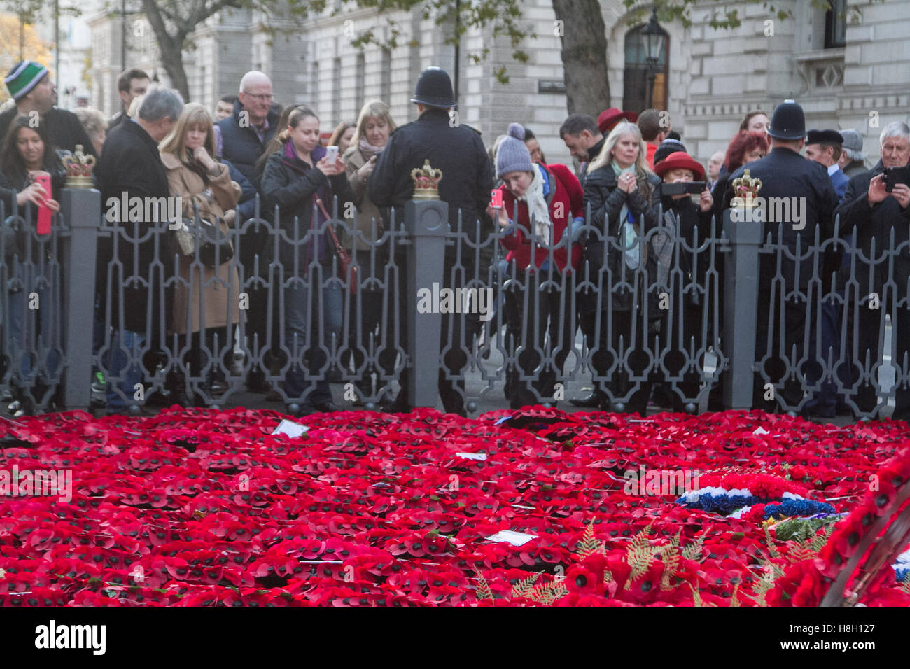 London UK.13th November 2016. Large crowds view the memorial wreaths ...