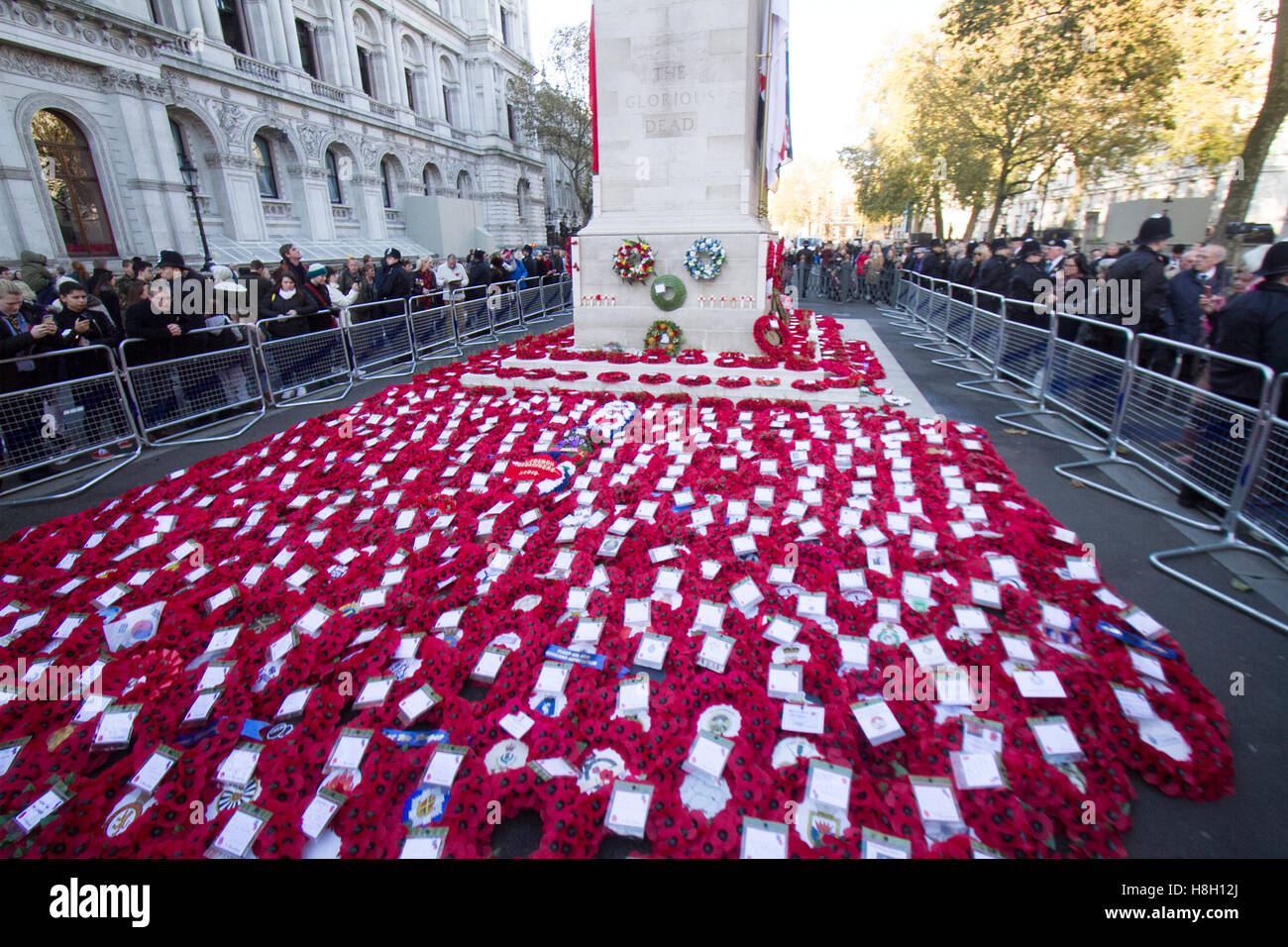 London UK.13th November 2016. Large crowds view the memorial wreaths ...