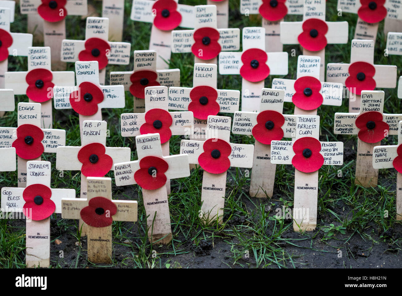 London, UK. 13th November, 2016. Crosses and Poppies in Westminster ...