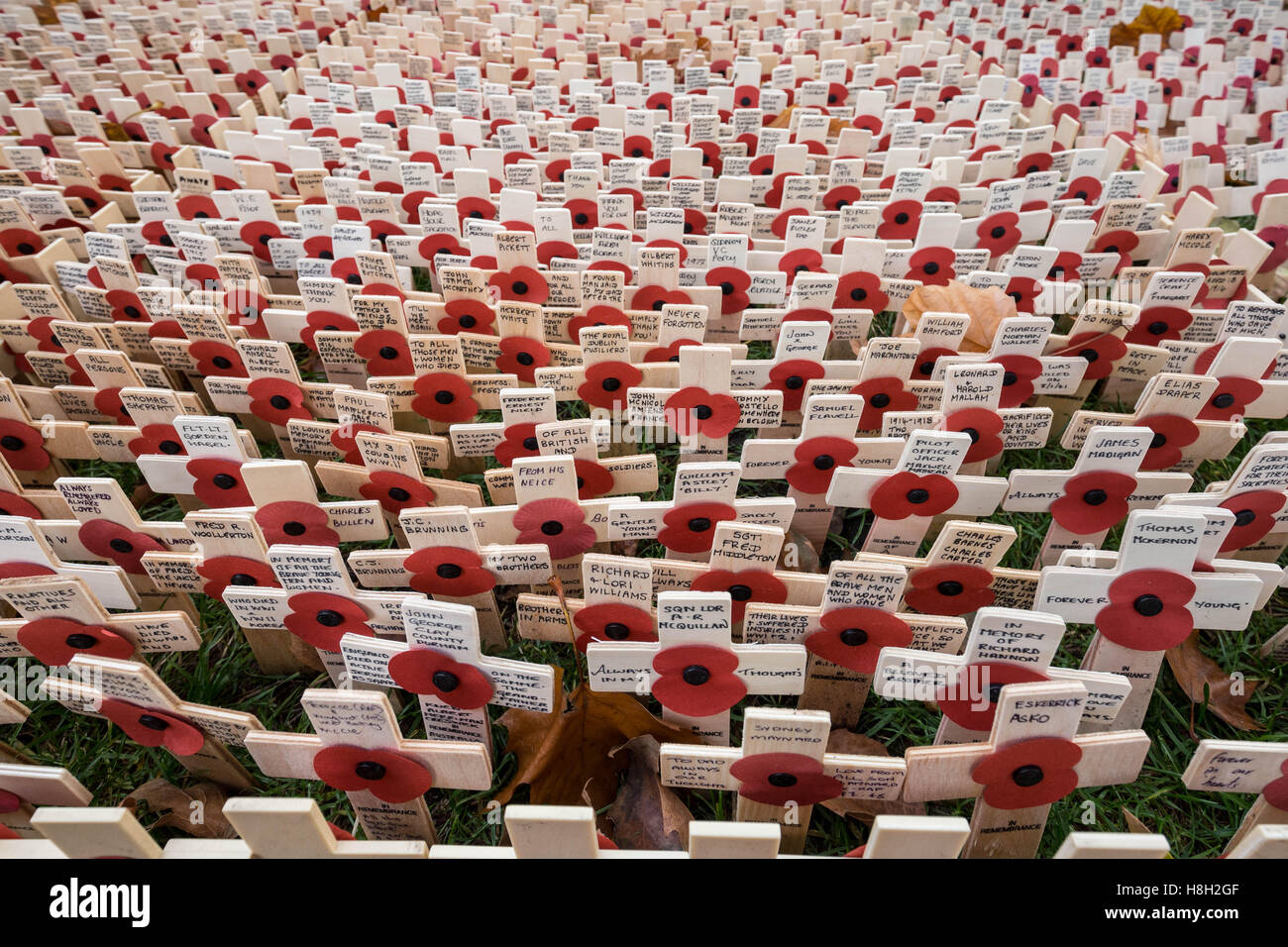 Westminster abbeys field remembrance hi-res stock photography and ...
