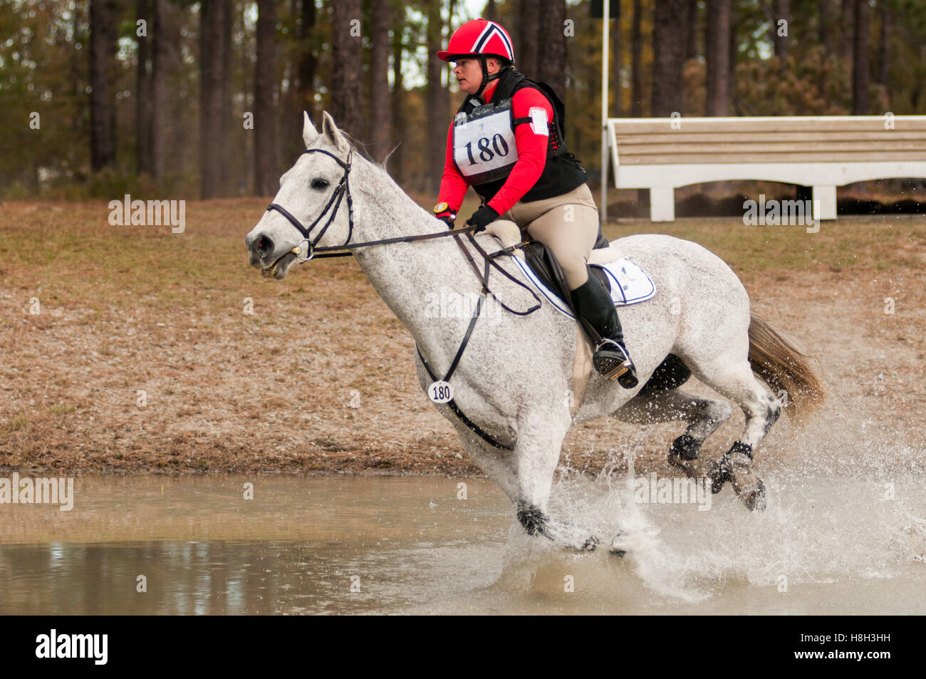 Grey goose event 2016 hi-res stock photography and images - Alamy