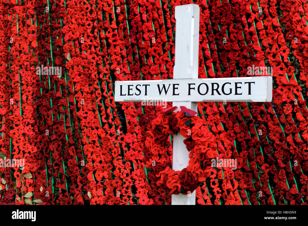 Remembrance day poppy cascade hi-res stock photography and images - Alamy