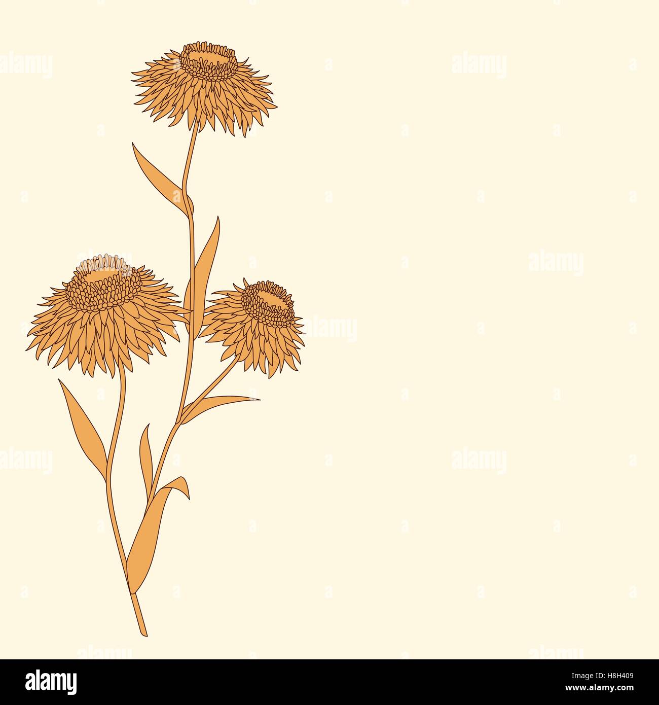 Linear drawing hi-res stock photography and images - Alamy