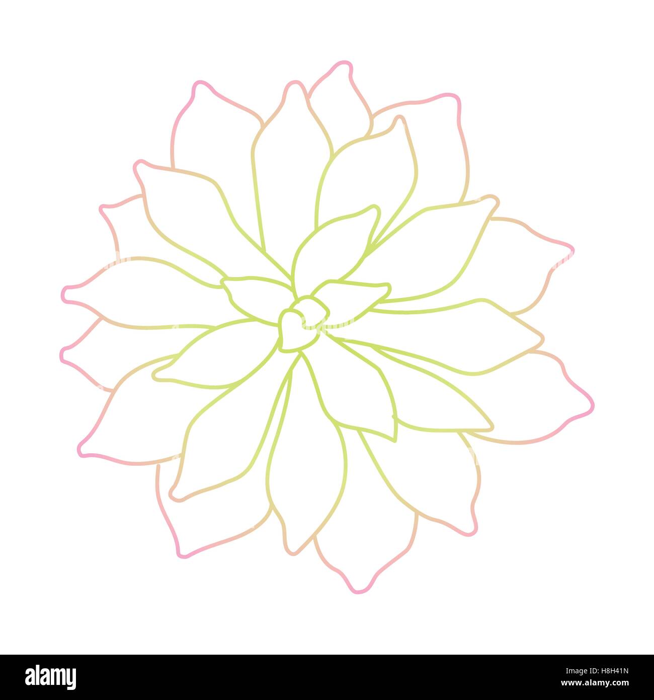 Line art succulent plant on white background Stock Vector Image & Art ...