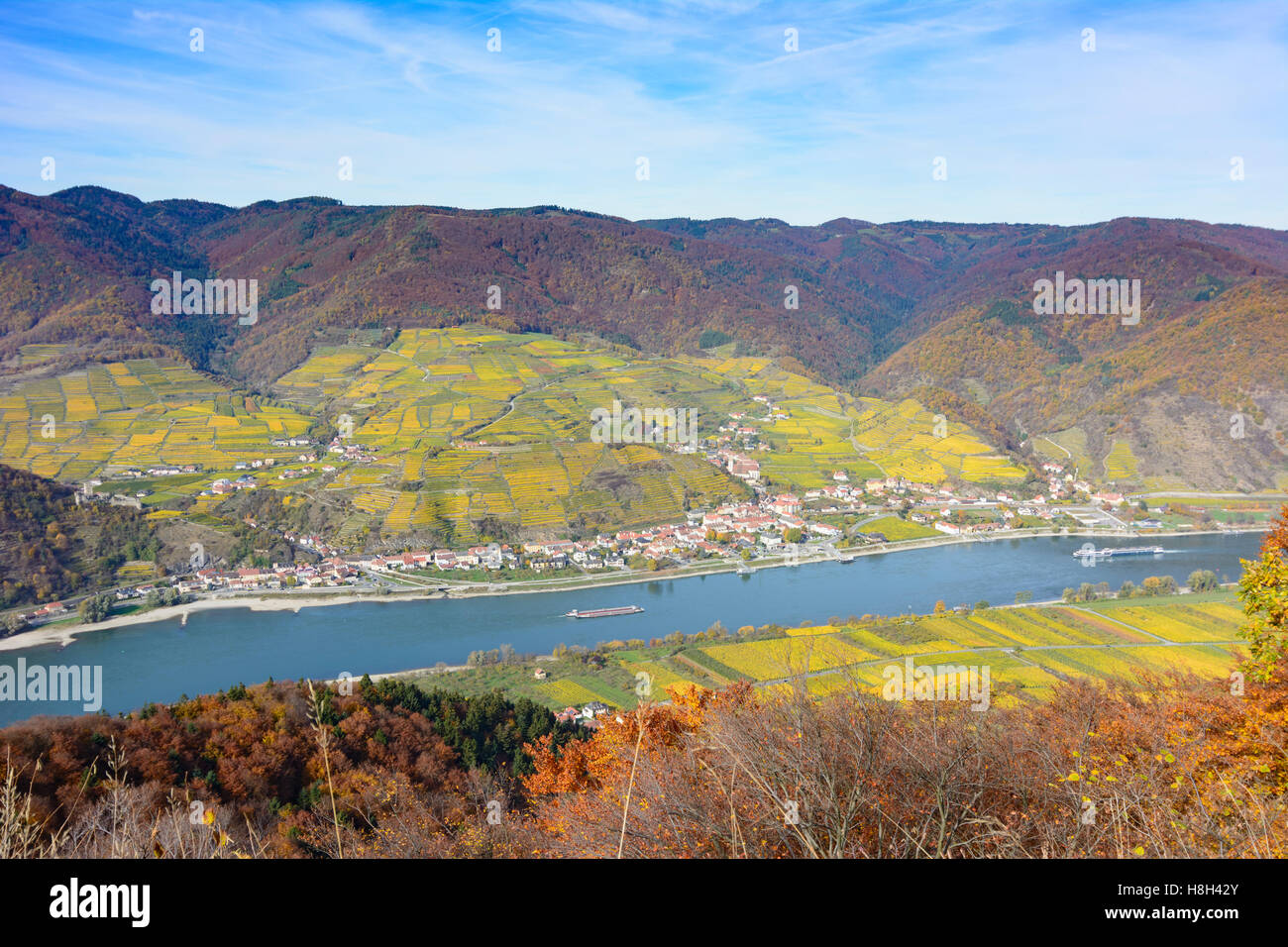 Spitz: view to Spitz, river Danube, vineyards from viewpoint Rote Wand ...