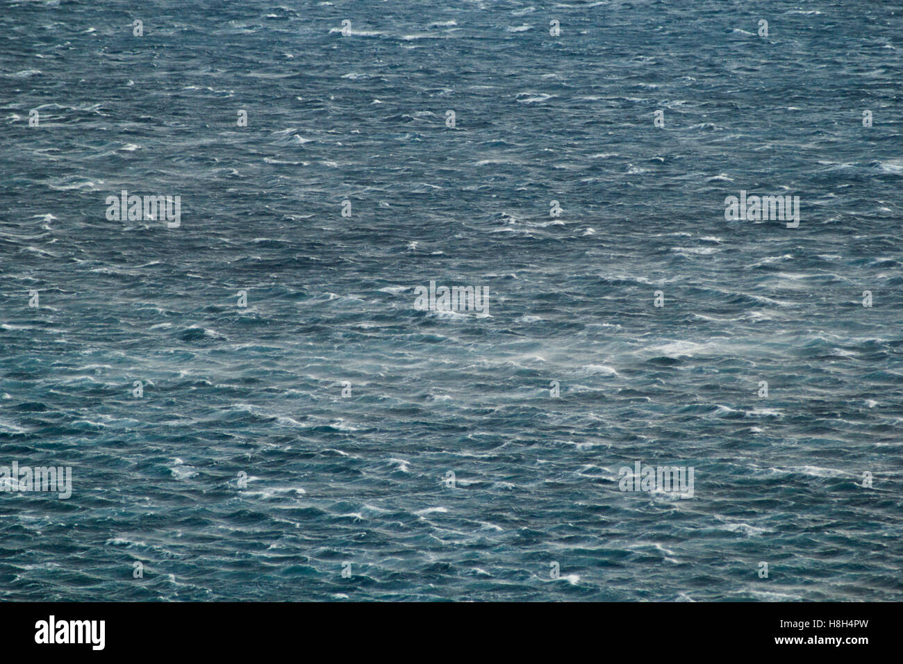 Windy sea water surface texture Stock Photo - Alamy