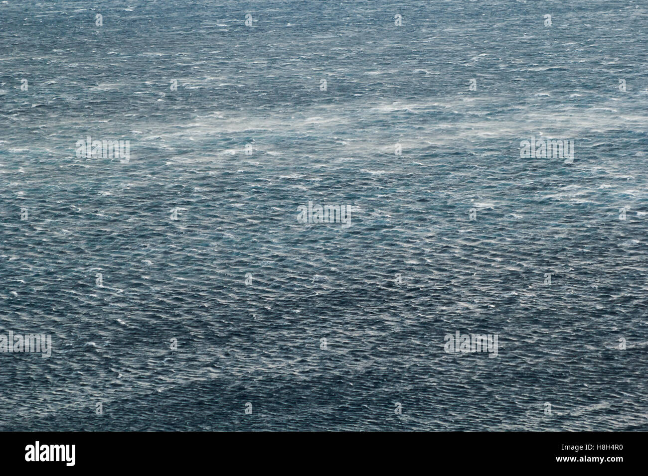 Windy sea water surface texture Stock Photo - Alamy