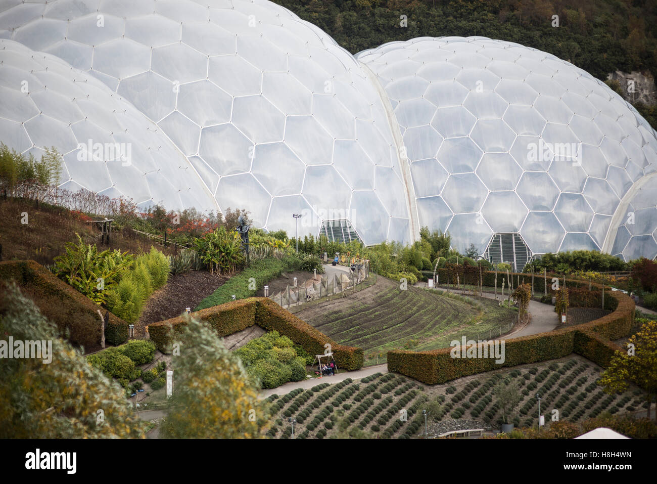 The Eden Project Biomes Stock Photo - Alamy