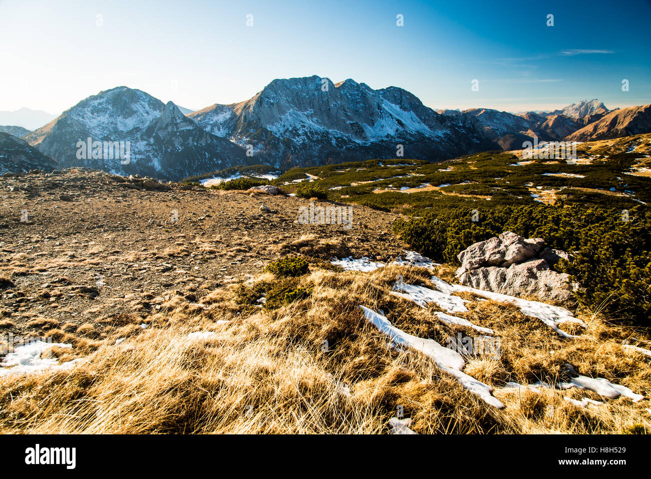 dry winter in the italian alps Stock Photo - Alamy