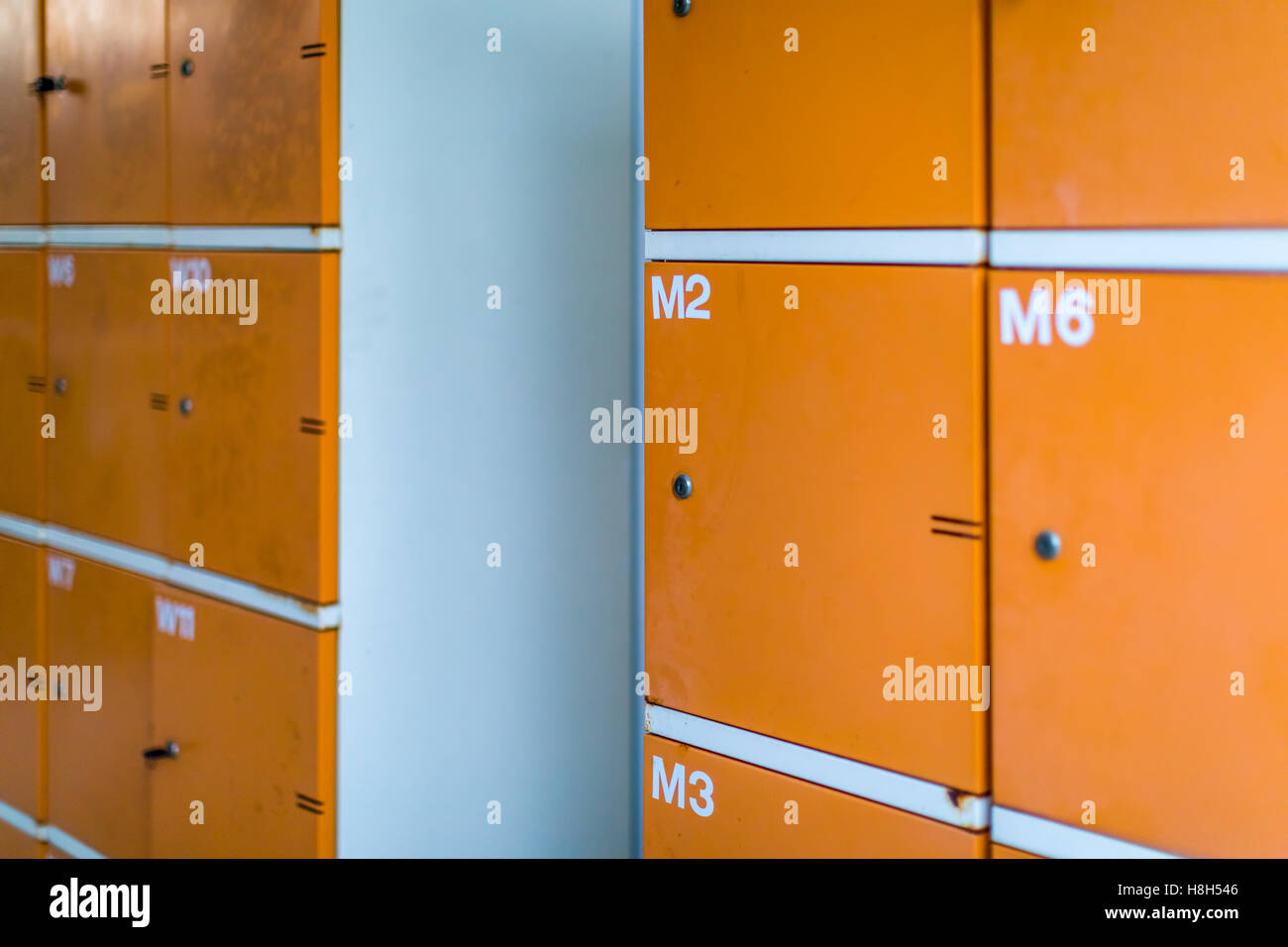 Old and rusty lockers at sport club Stock Photo - Alamy