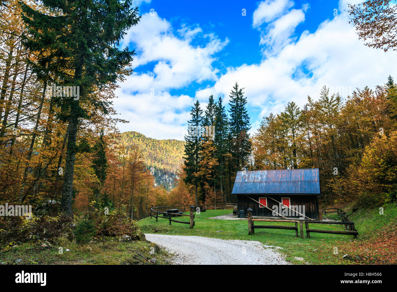 an alpine hut in the valley during a colorful sunset Stock Photo - Alamy