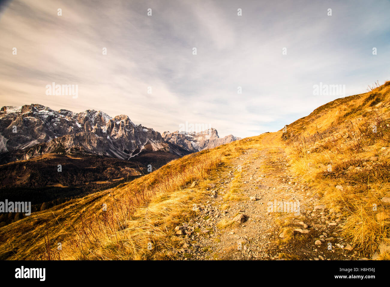 Alps pines clouds dramatic hi-res stock photography and images - Alamy