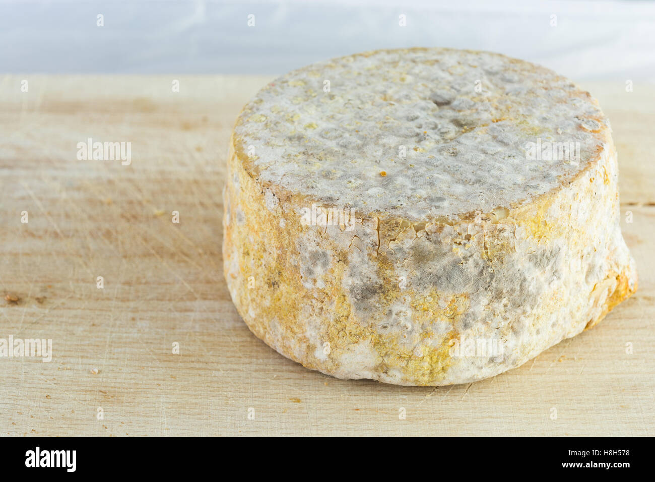 The form of hard cheese of a bloomy rind goat's milk, frost crust ...