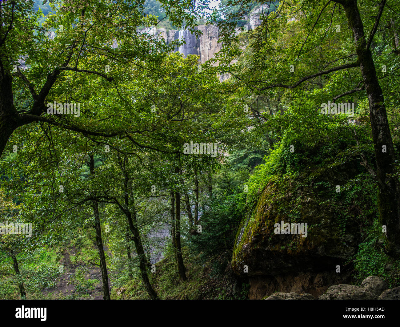 Latoon High Resolution Stock Photography and Images - Alamy