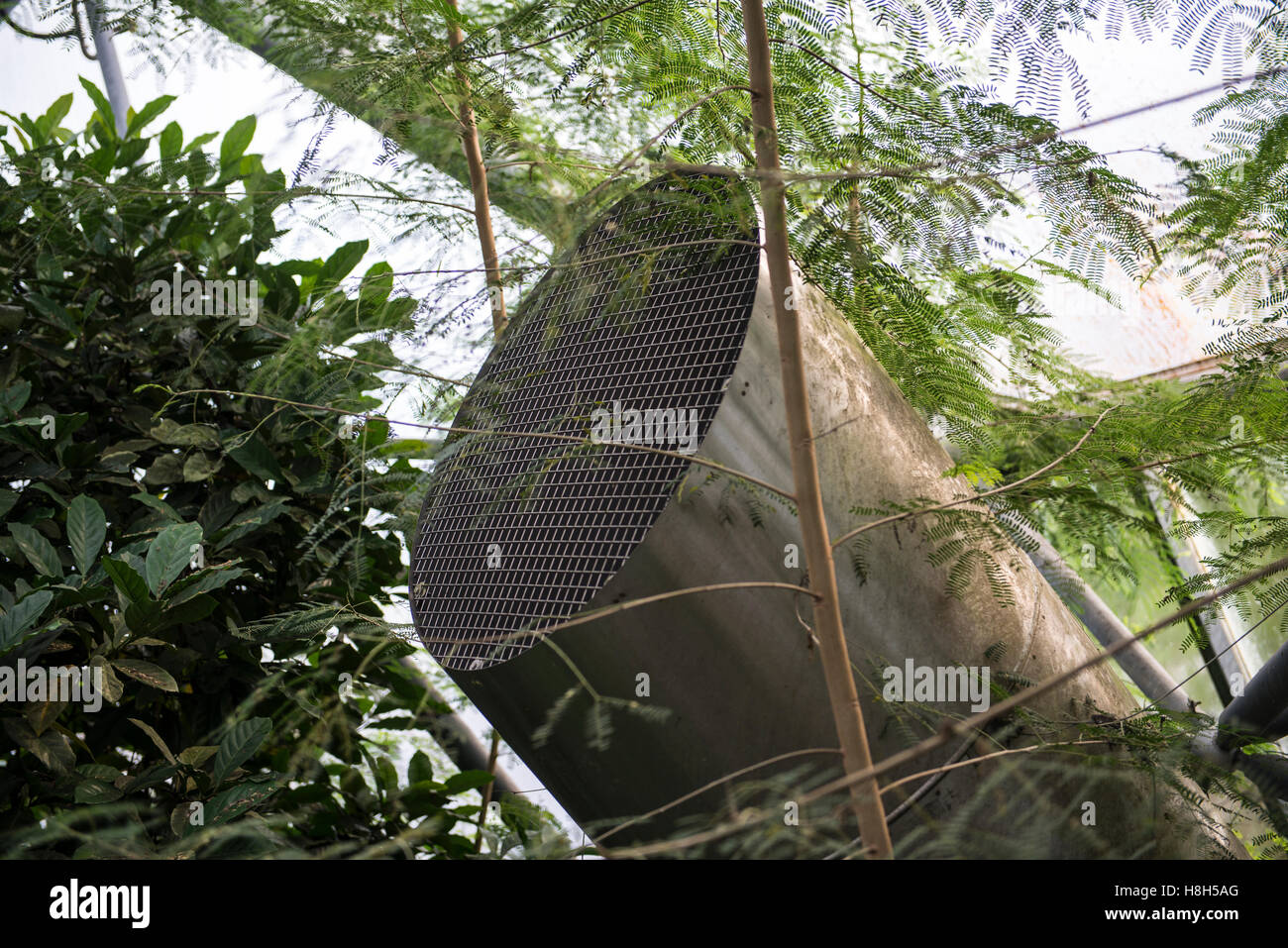 The eden project heating hi-res stock photography and images - Alamy