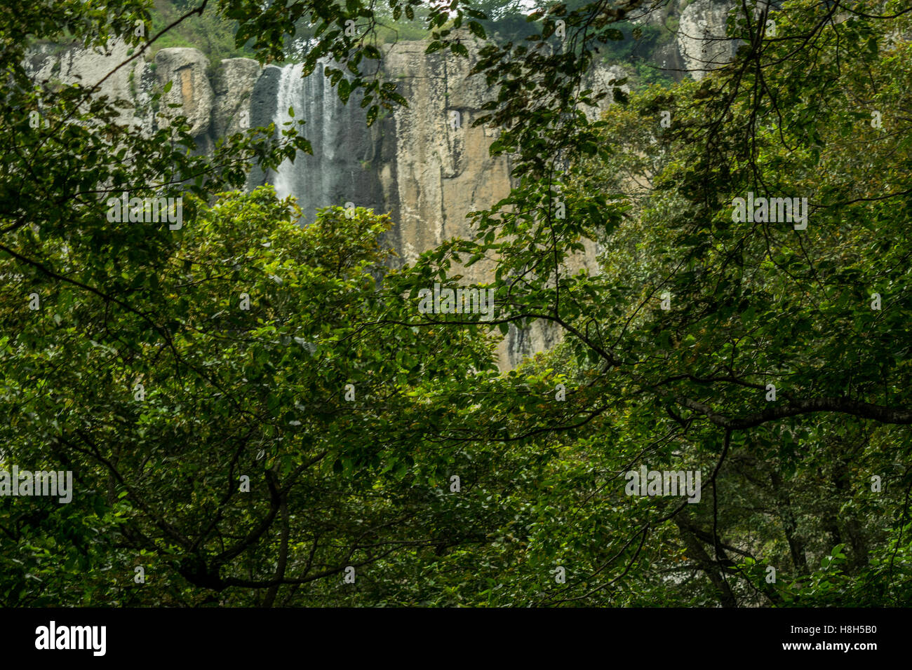Latoon hi-res stock photography and images - Alamy