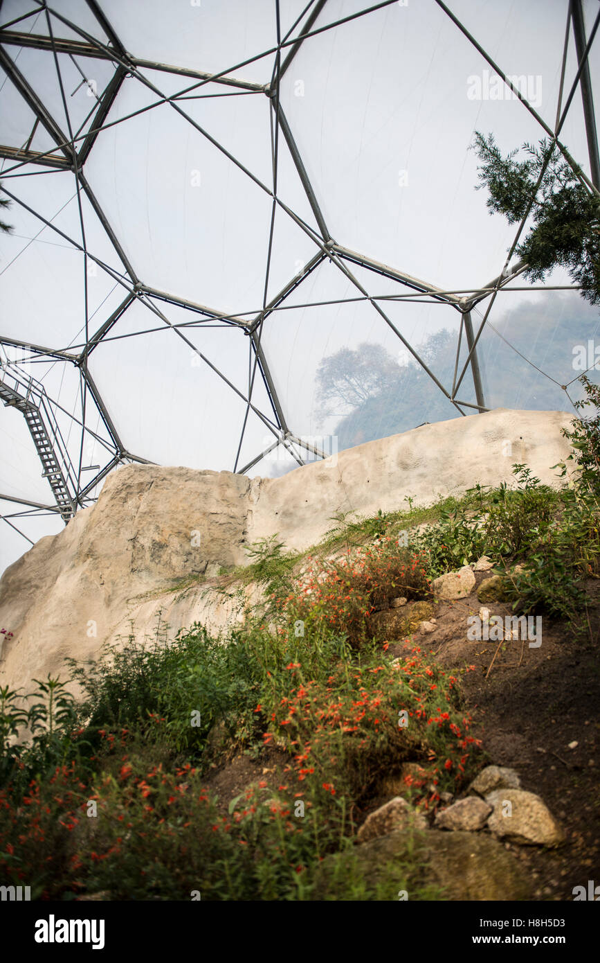 The Eden Project Biomes Stock Photo - Alamy