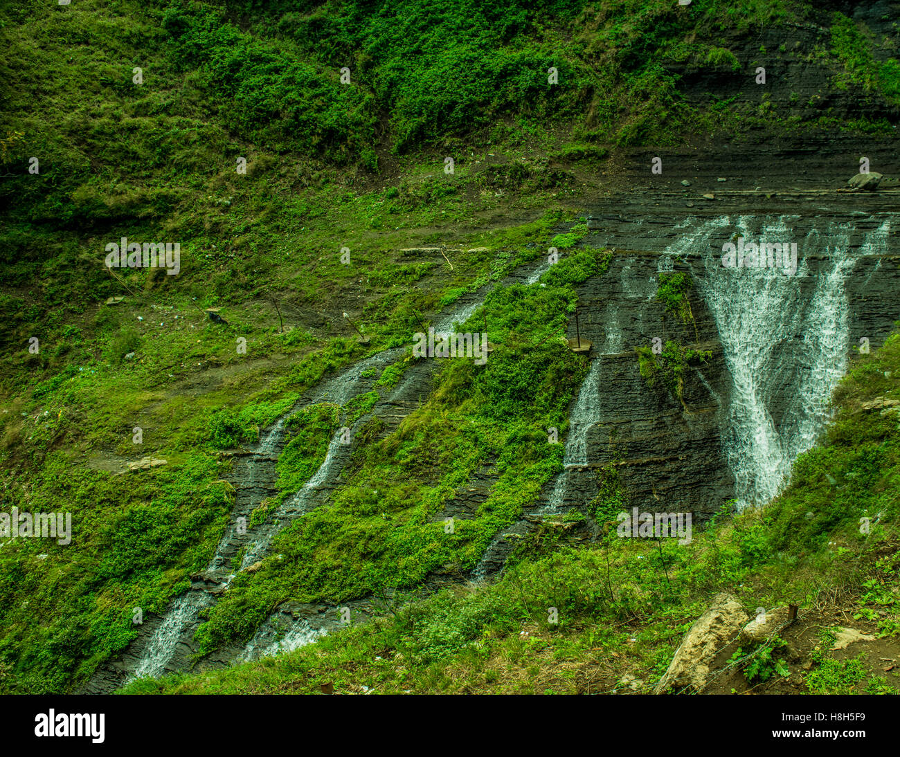 Latoon hi-res stock photography and images - Alamy