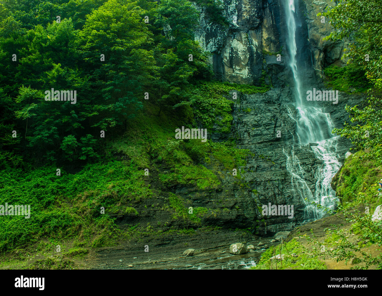 Latoon hi-res stock photography and images - Alamy