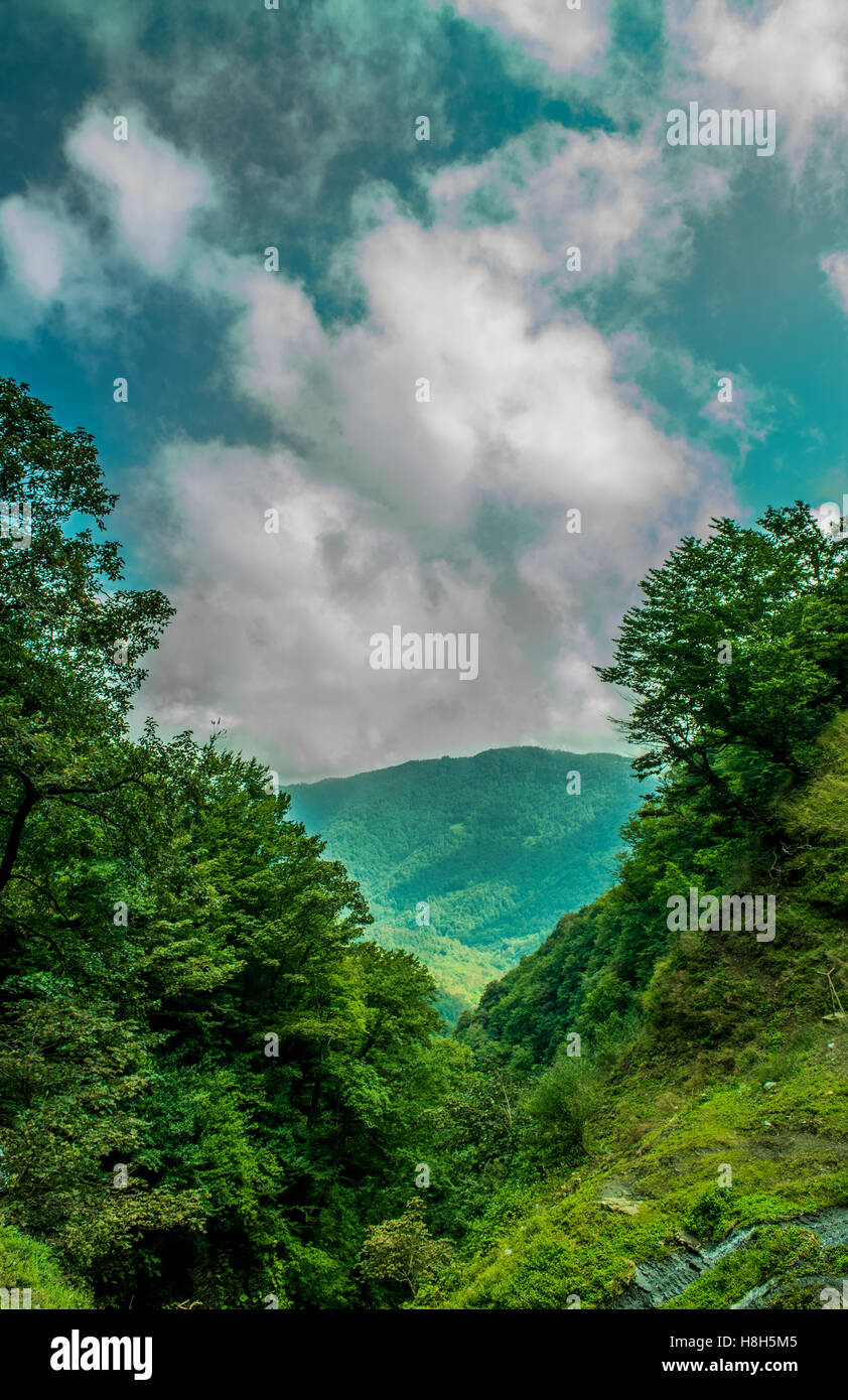 Latoon hi-res stock photography and images - Alamy