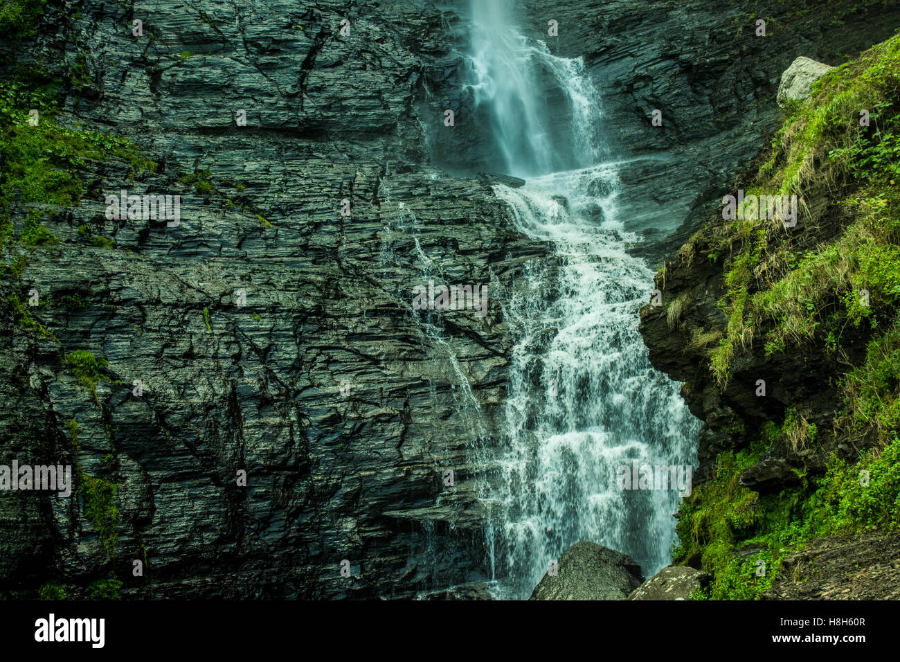 Latoon hi-res stock photography and images - Alamy