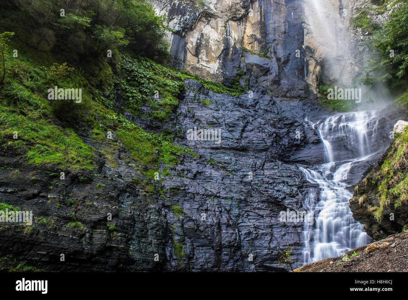 Latoon High Resolution Stock Photography and Images - Alamy