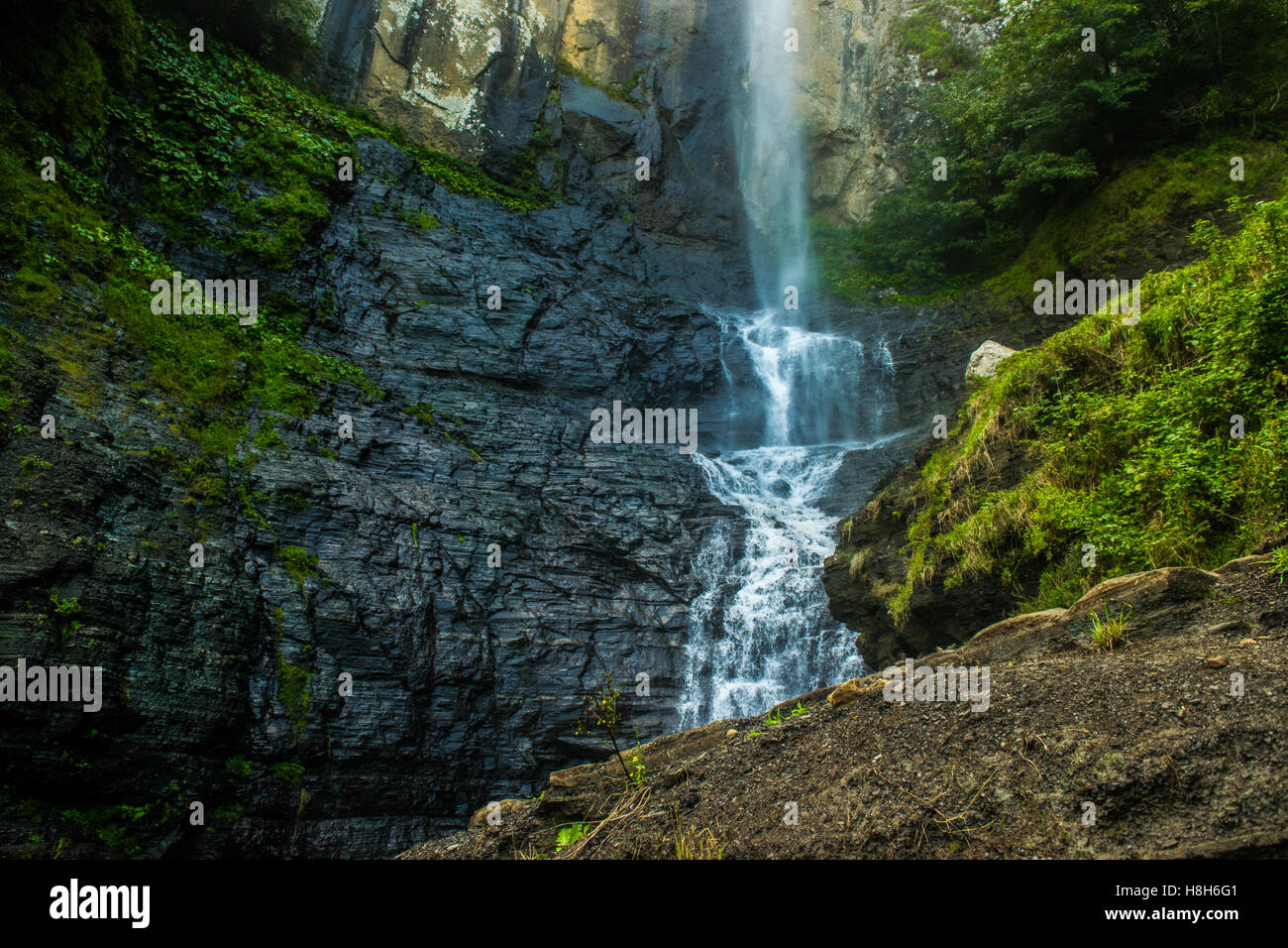 Latoon hi-res stock photography and images - Alamy