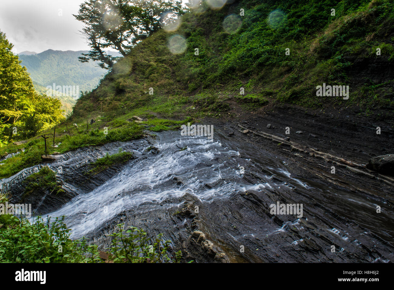 Latoon hi-res stock photography and images - Alamy