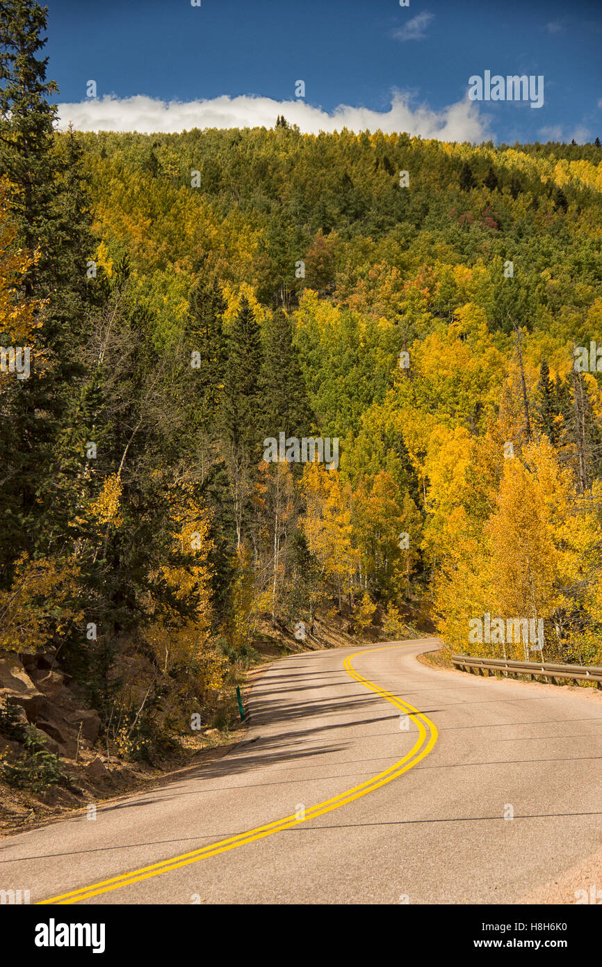 fall color aspens changing in colorado Stock Photo - Alamy fall color aspens changing in colorado Stock Photo - Alamy